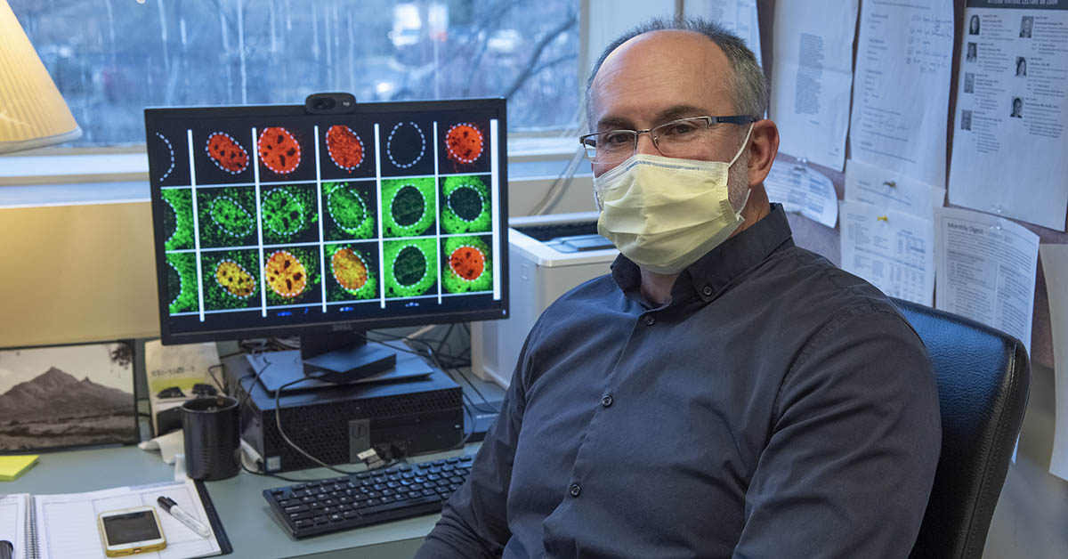 Fox Chase Researcher Receives NIH Grant to Advance Treatment of Immune Diseases Using Genome ...